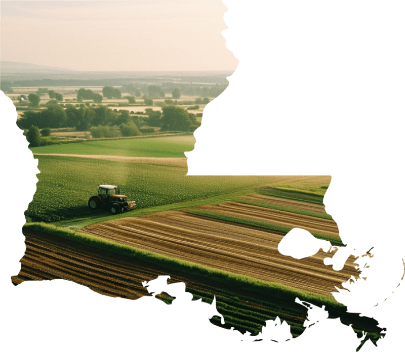 Home - Farmers Rice Consumer